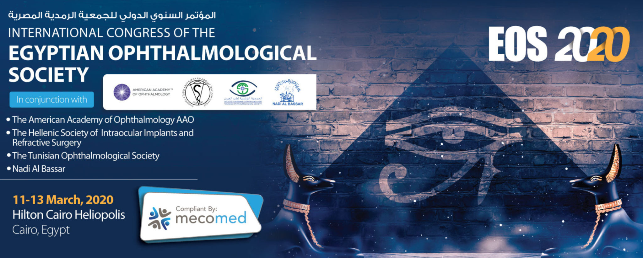 To Ινστιτούτο Ophthalmica στο International Congress of the Egyptian ...